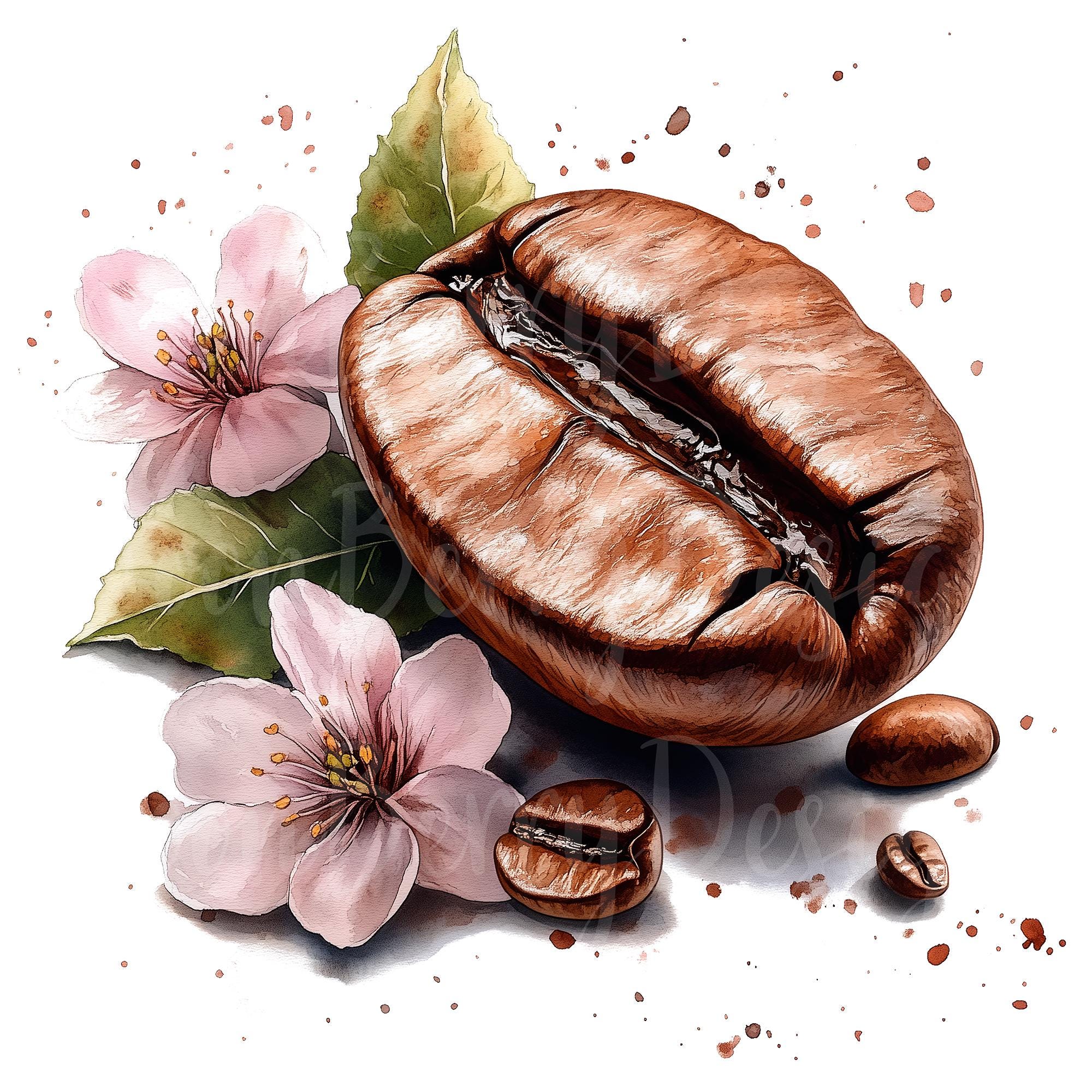 Coffee Bean Flowers Clipart, Set of 11 PNG Bundle, 300 DPI Clip Art ...