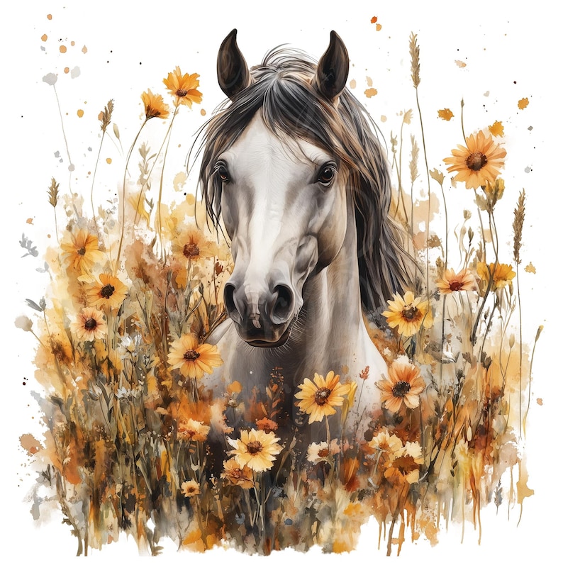 Horse Clip Art, Set of 10 PNG Bundle, Horse Watercolor Clipart, Horse ...