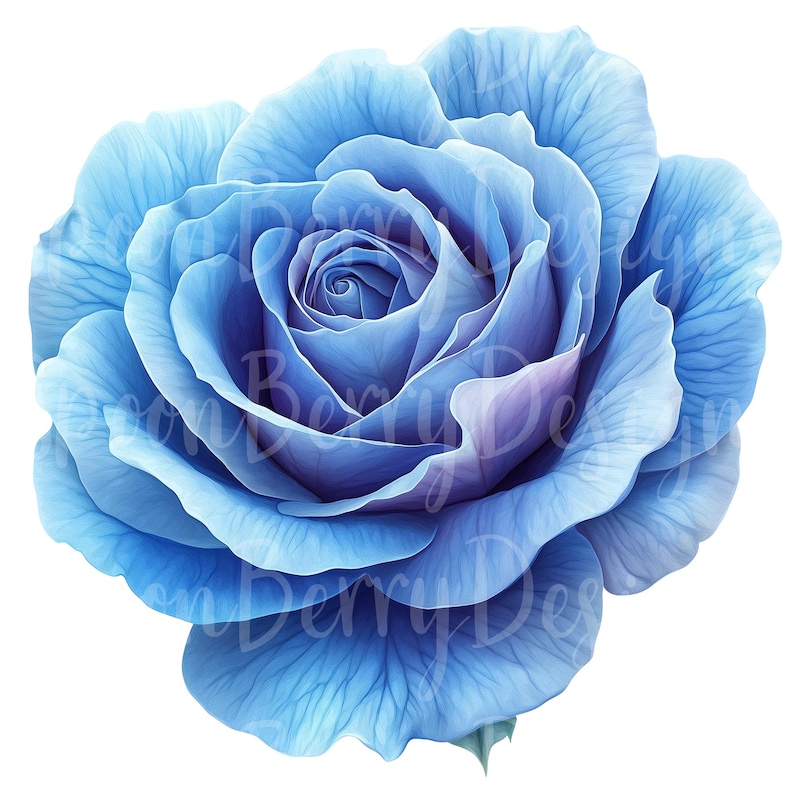 Blue Rose Clipart, Set of 12 PNG Bundle, 300 DPI Clip Art, Wedding ...