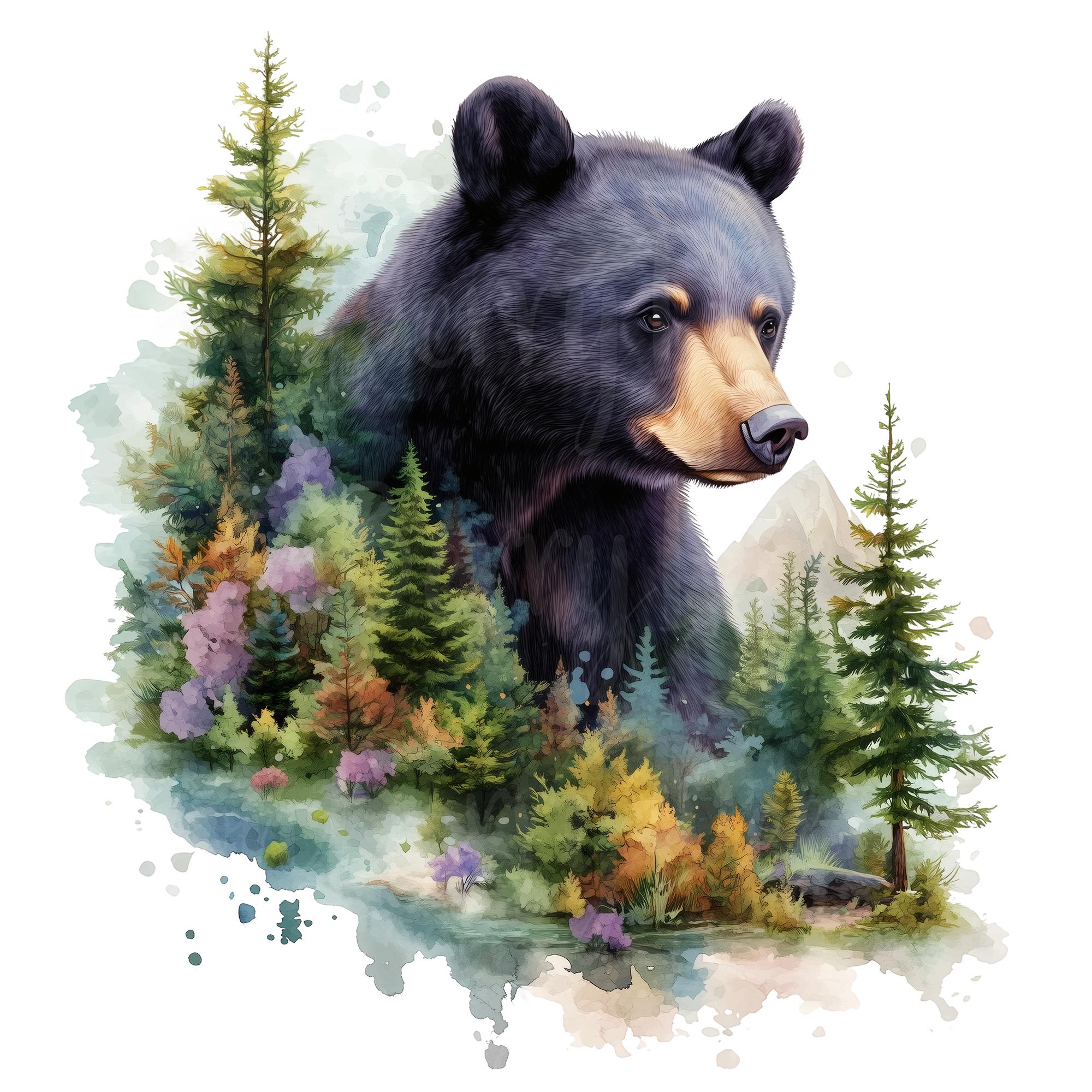 Black Bear Clipart, Set of 23 PNG Watercolor Clip Art Bundle, Pine Tree ...