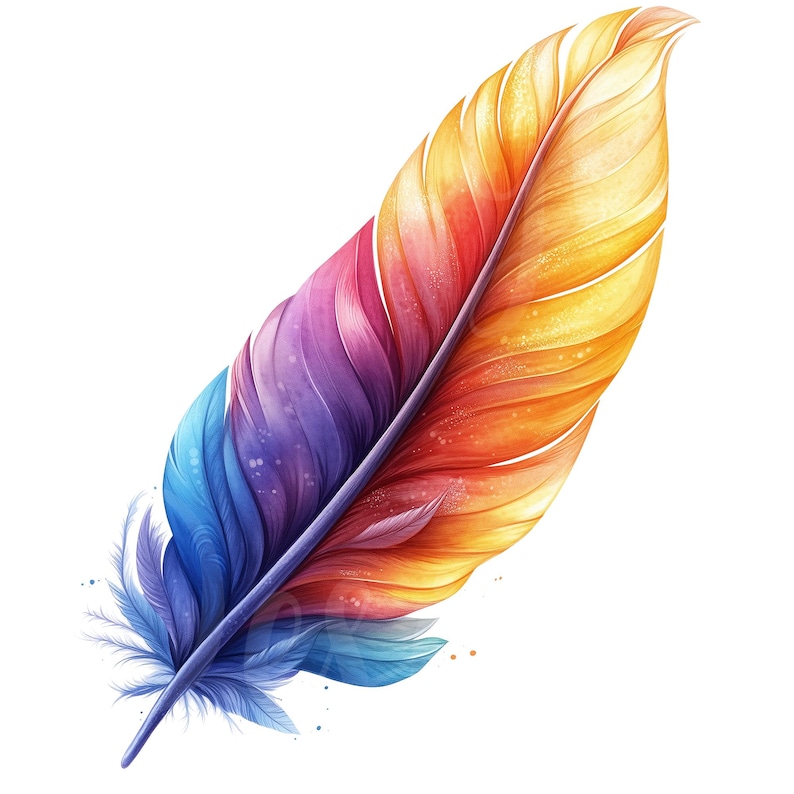 Feather Clipart, Set of 12 PNG Bundle, 300 DPI Clip Art, Colorful ...