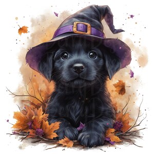 Black Dogs Clipart, Set of 15 PNG Bundle, Transparent Background, Fall ...