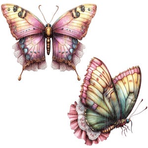 Butterfly Clipart, Set of 10 PNG Bundle, 300 DPI Clip Art, Lace Wing ...