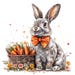 Easter Bunny Basket Clipart, Set of 25 PNG Bundle, 300 DPI Clip Art ...