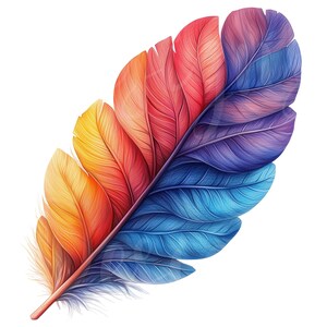 Feather Clipart, Set of 12 PNG Bundle, 300 DPI Clip Art, Colorful ...