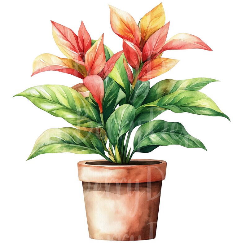 House Plant Clipart, Set of 19 PNG Bundle, 300 DPI Clip Art, Green ...