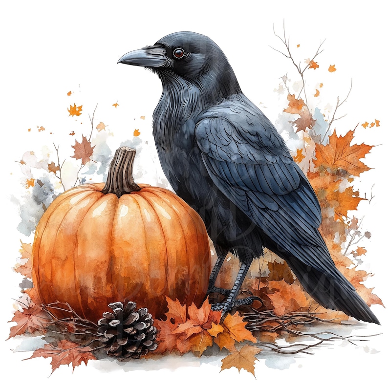 Black Raven Clipart, Set of 10 PNG Bundle, Transparent Background, Fall ...