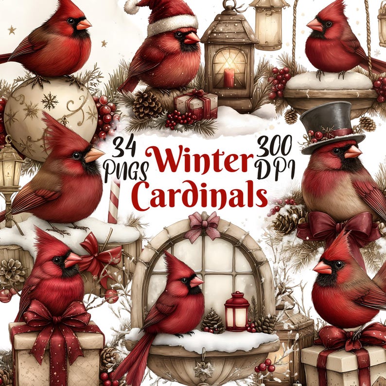 Cardinal Clipart, Set of 34 PNG Bundle, 300 DPI Clip Art, Christmas ...