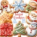 Sugar Cookie Clipart, Set of 22 PNG Bundle, 300 DPI Clip Art, Winter ...