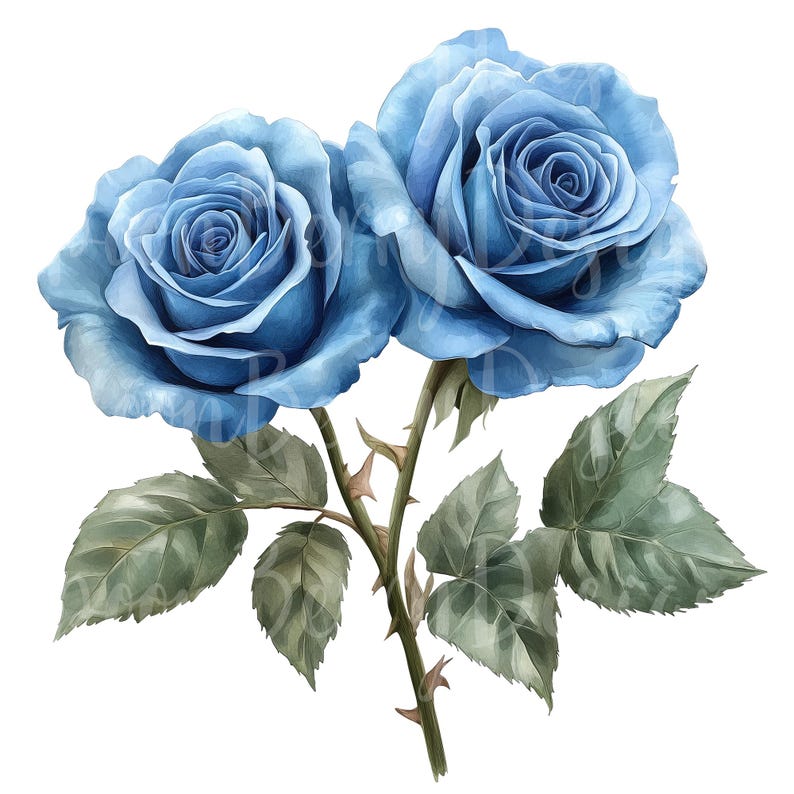 Blue Rose Clipart, Set of 12 PNG Bundle, 300 DPI Clip Art, Wedding ...