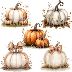 Pumpkin Clip Art, Set of 50 PNG Bundle, 300 DPI Clipart, Fall Harvest ...