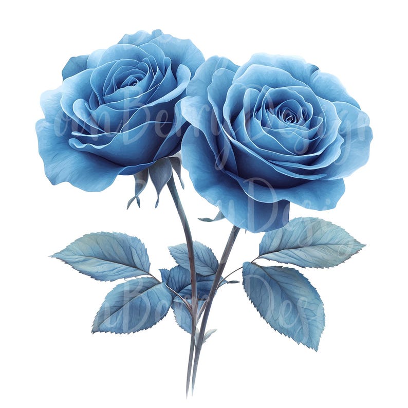 Blue Rose Clipart, Set of 12 PNG Bundle, 300 DPI Clip Art, Wedding ...