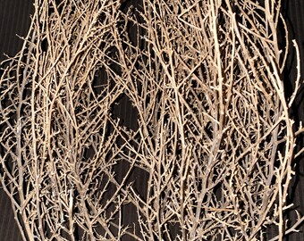 Tumbleweed Wrangler Kiss-cut Stickers - Etsy
