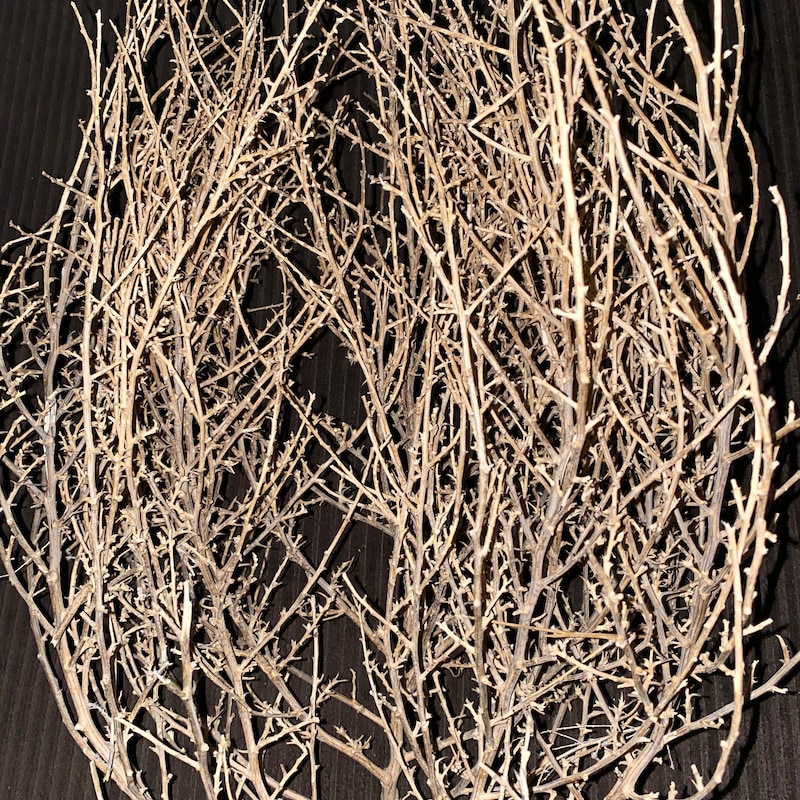 Tumbleweed - Etsy