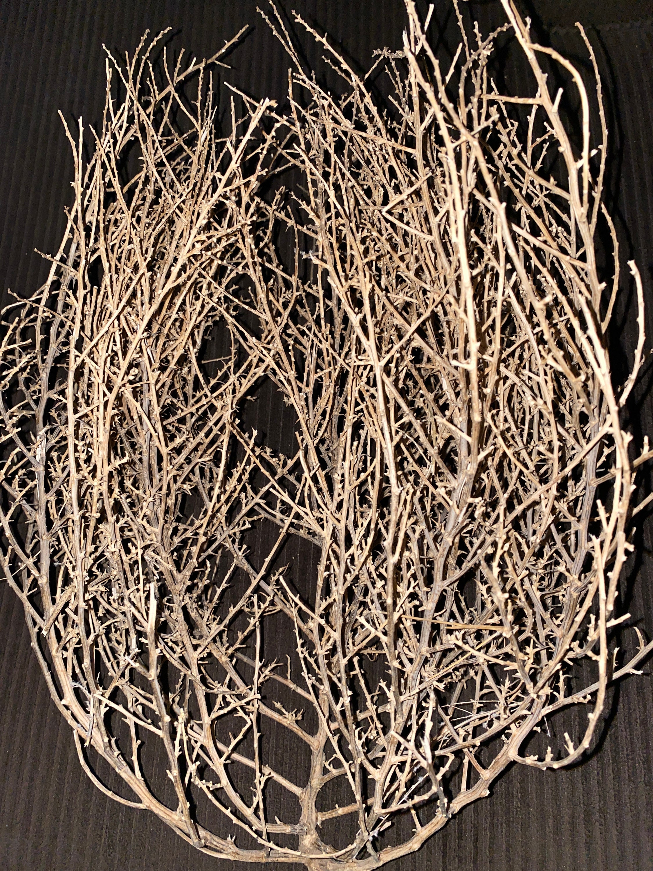 Tumbleweed - Etsy