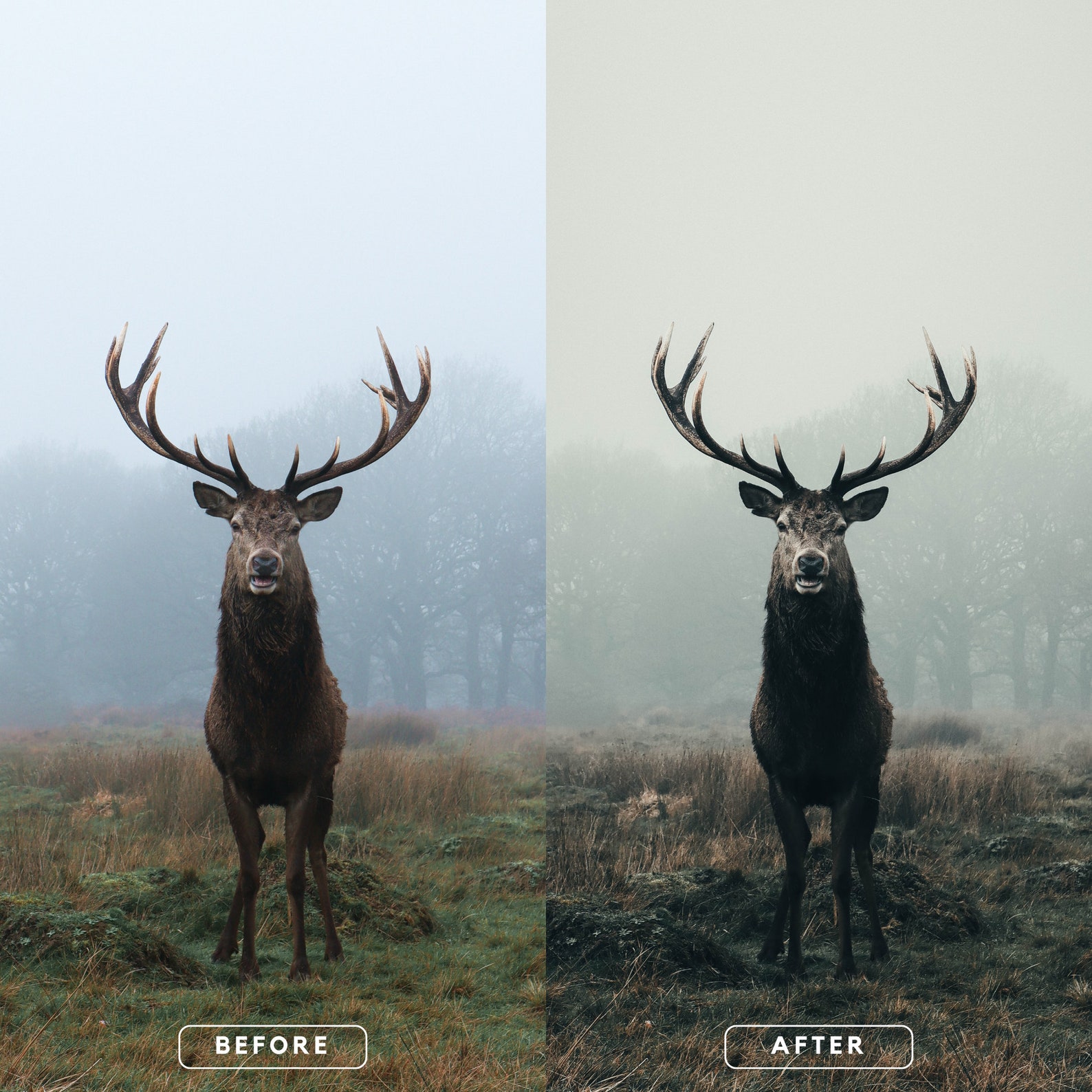 Dark Moody Presets - Mobile & Desktop Dark Moody Tones Preset ...