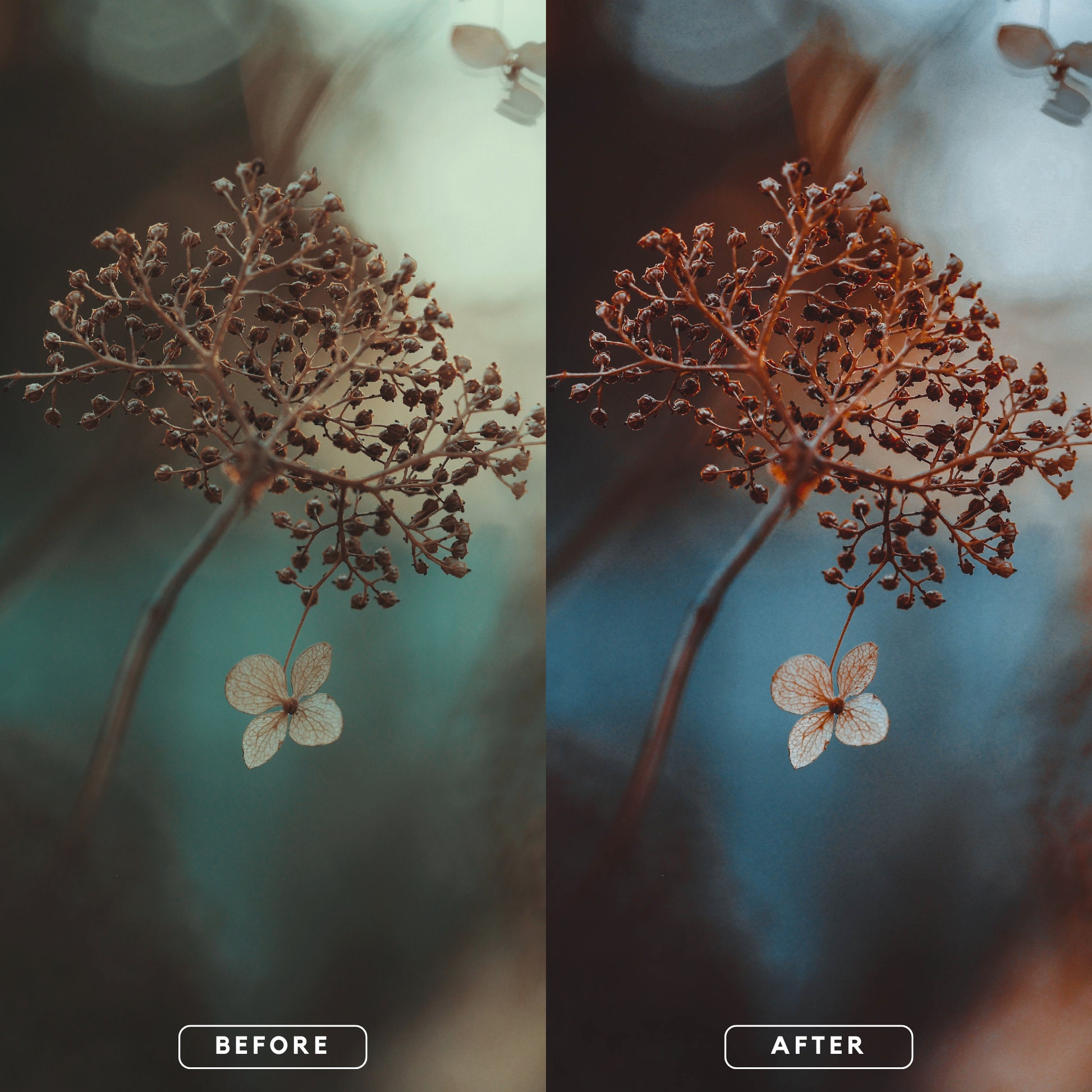 Dark Pro Presets - Mobile & Desktop Moody Brown Tones Preset Influencer ...
