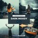Dark Moody Presets - Mobile & Desktop Dark Moody Tones Preset ...