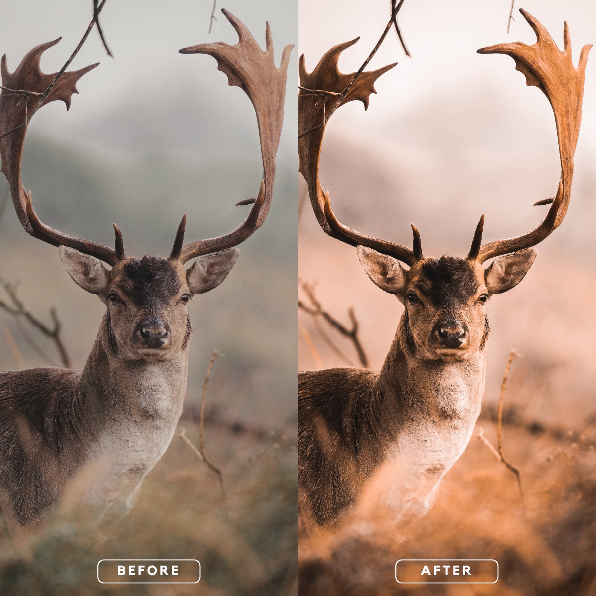 Moody Brown - Mobile & Desktop Preset - Moody Influencer Preset Filter ...