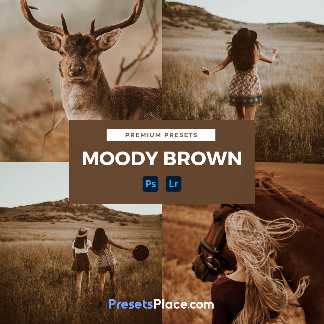 Moody Brown - Mobile & Desktop Preset - Moody Influencer Preset Filter ...