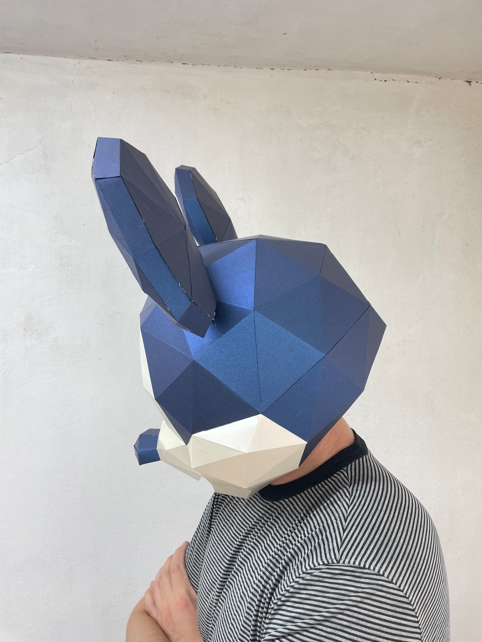 3D Mouse Mask Template: DIY Papercraft Cosplay (PDF) - Etsy
