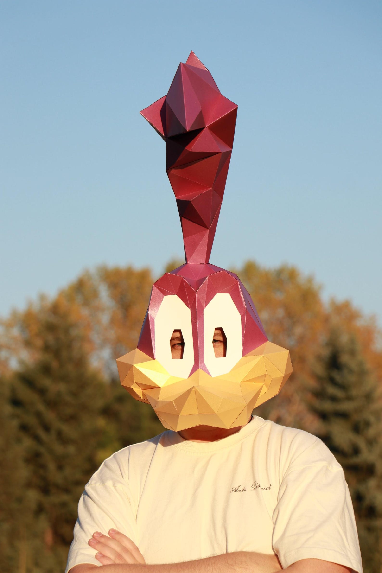 Roadrunner Mask: Low Poly Papercraft Mask (PDF Template) - Etsy Canada