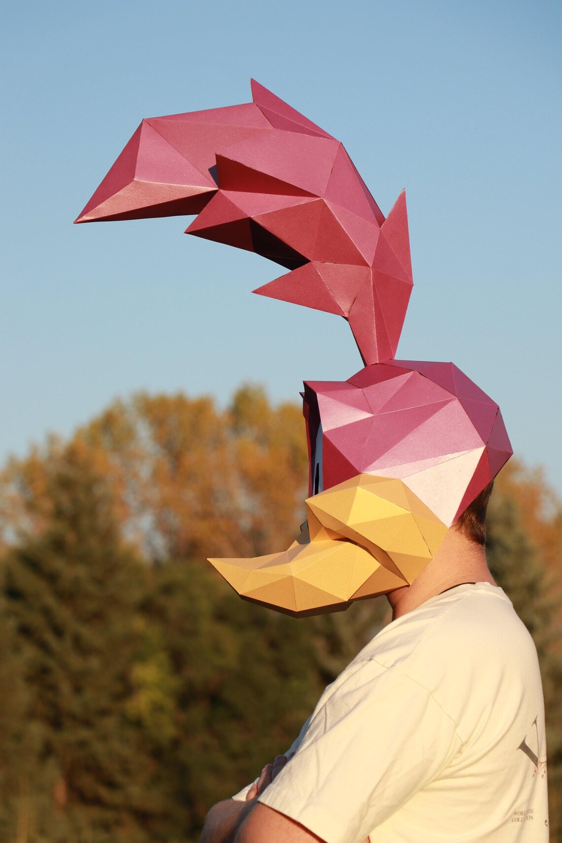 Roadrunner Mask: Low Poly Papercraft Mask (PDF Template) - Etsy Canada