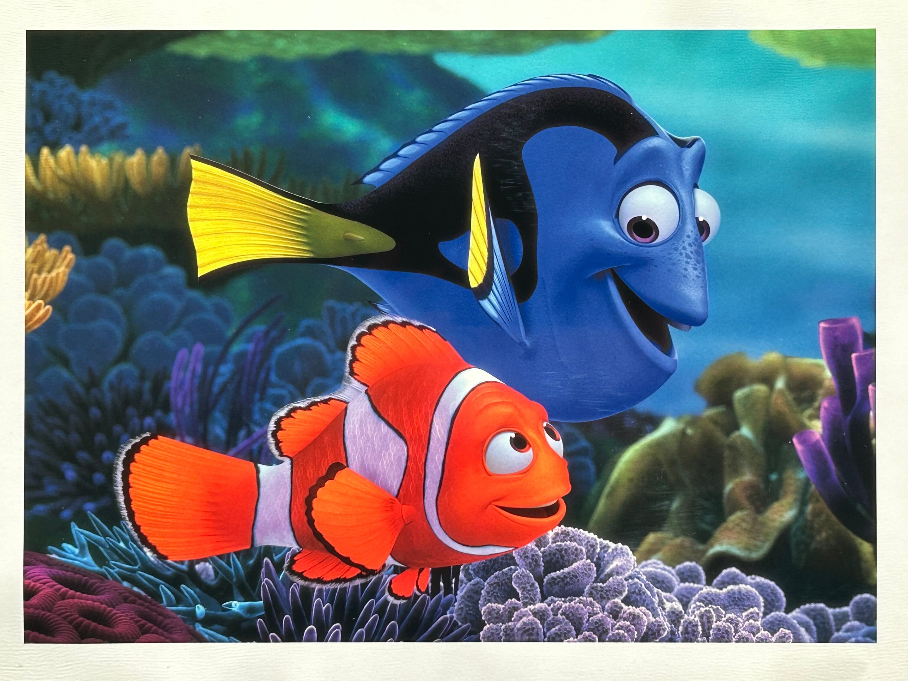 Finding Nemo Framed Nemo and Dory Disney Commemorative Photo 10 1/2 X 7 ...