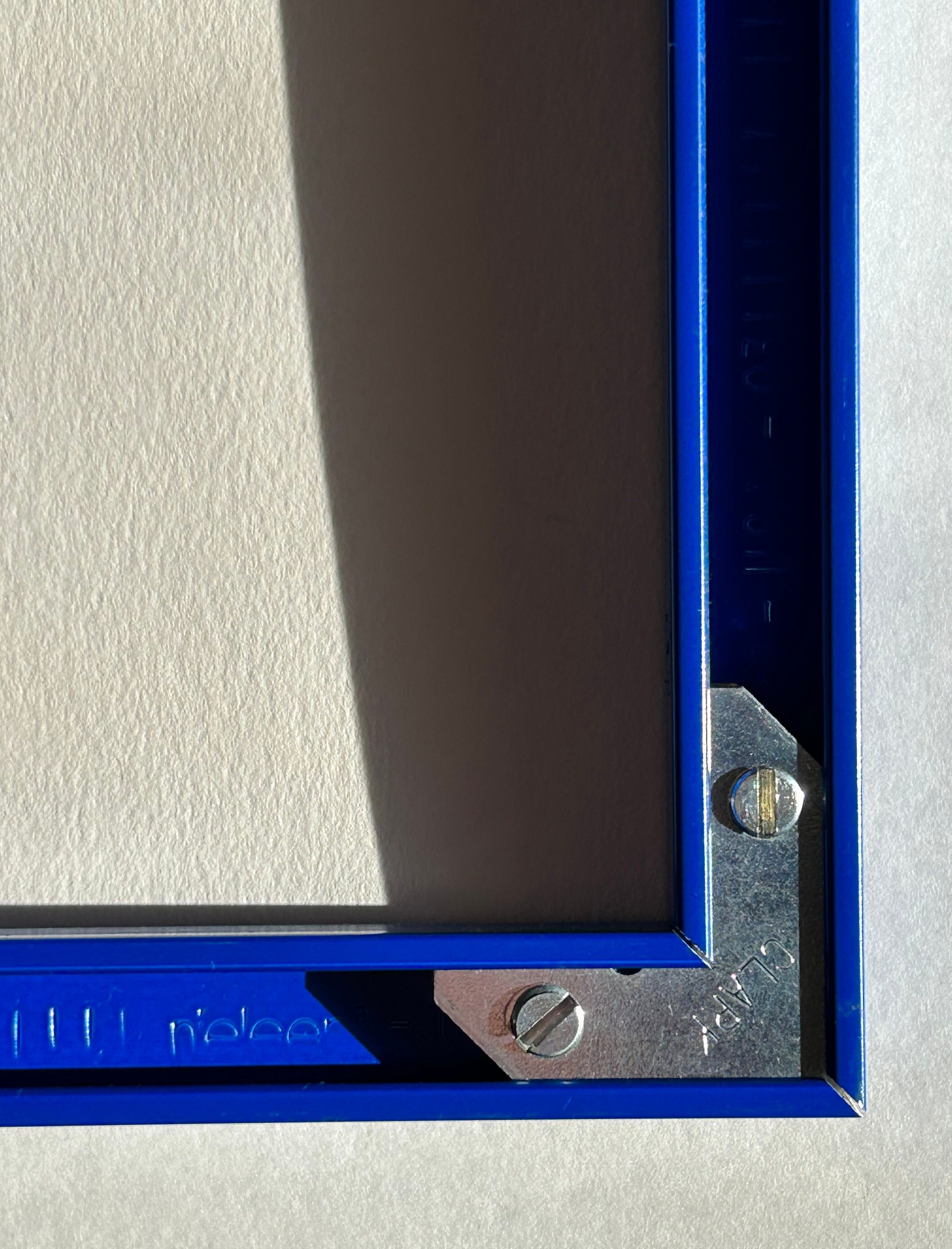 Finding Nemo Framed Nigel Escape Disney Commemorative Photo 10 - Etsy