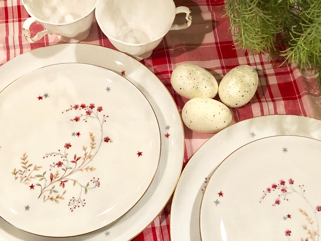 Vintage Eschenbach Bavaria Baronet China Plates: Floral Gold Trim, Set ...