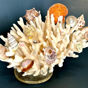 Vintage Natural White Corals Reef and Shells Composition on Lucite Base ...