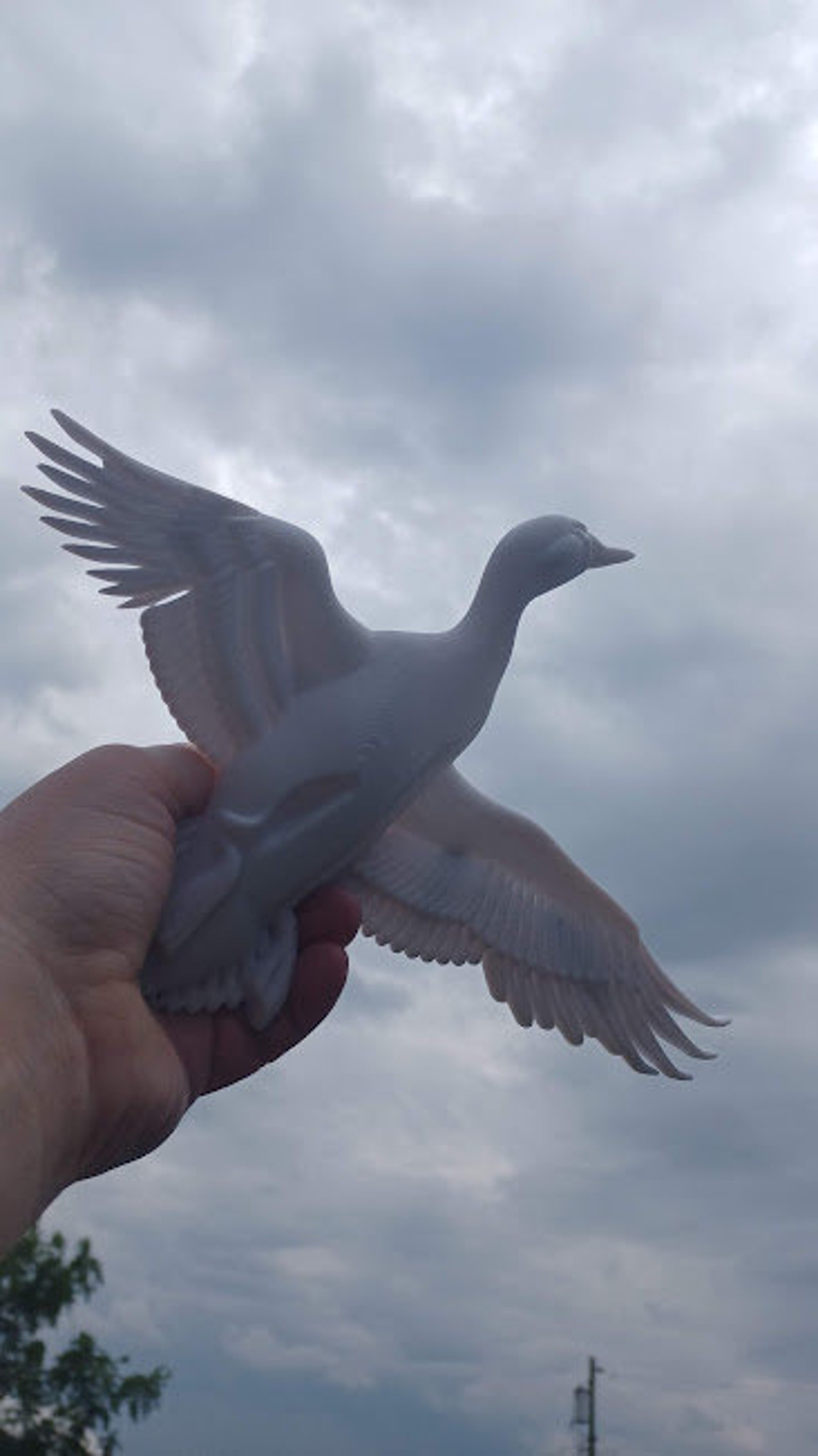 Mallard Duck 3d Print File Realistic Duck/ Wall Art 3d Print File/ Bird ...