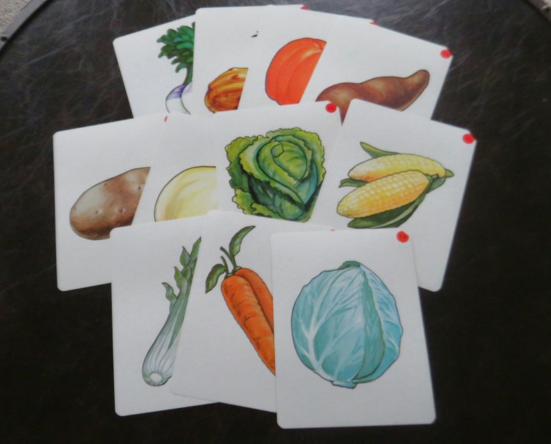 60 Vintage Assorted Peabody Language Development Kit Flash Cards Level ...