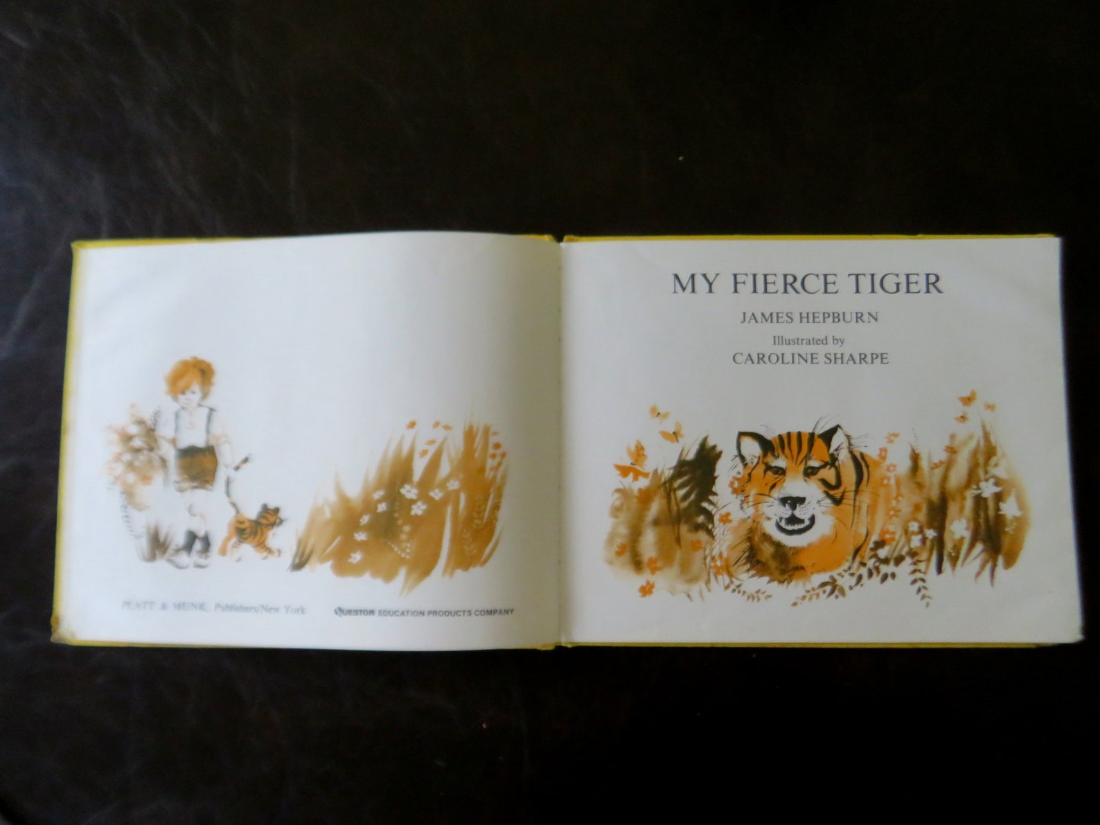 1971 Vintage Book - My Fierce Tiger by James Hepburn Illustrated by ...