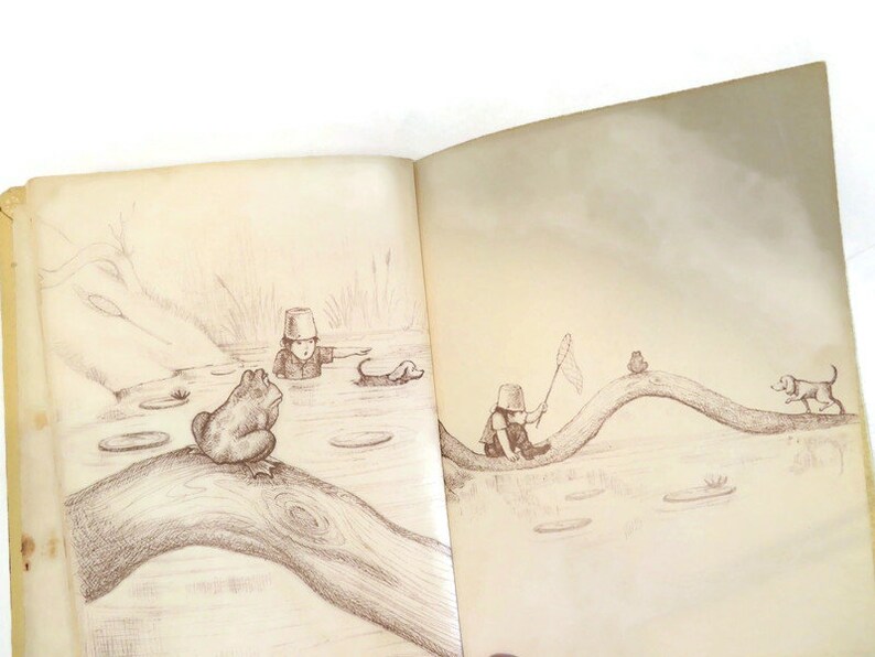 Vintage Book "a Boy, A Dog and A Frog" by Mercer Mayer Small Sized ...