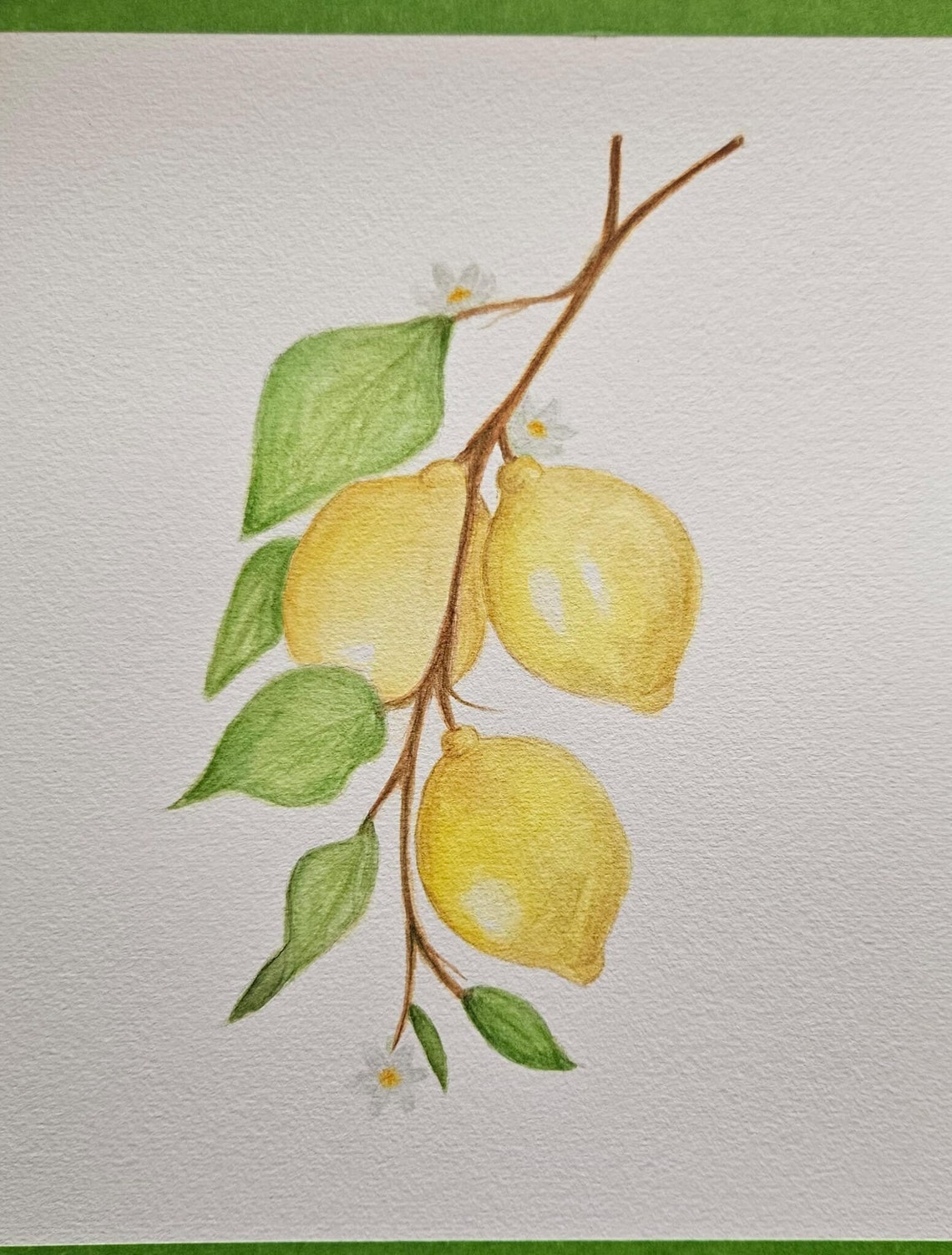 Lemon Watercolour Painting - Etsy
