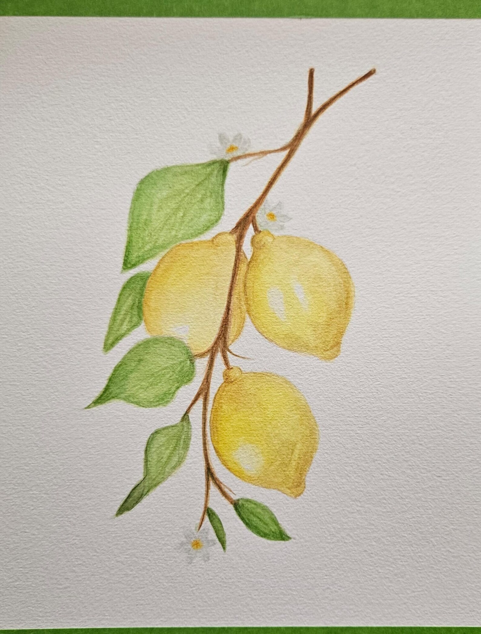 Lemon Watercolour Painting - Etsy