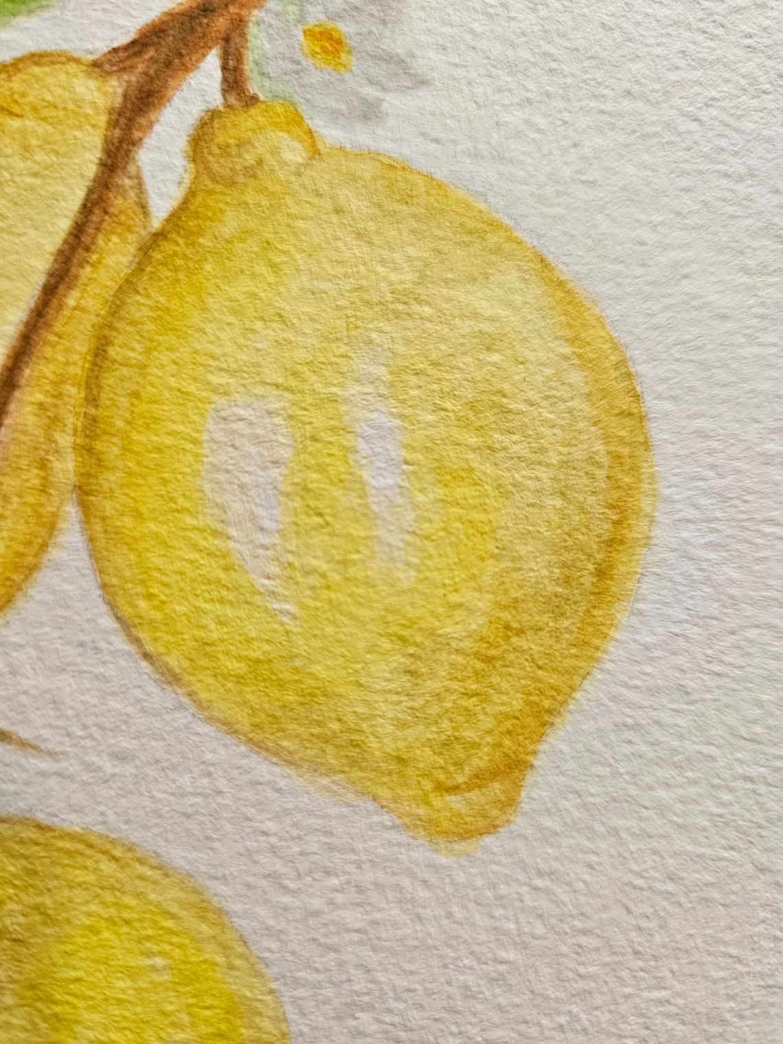 Lemon Watercolour Painting - Etsy