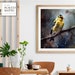 Goldfinch Watercolor Art Print Bird Wall Art Goldfinch in - Etsy