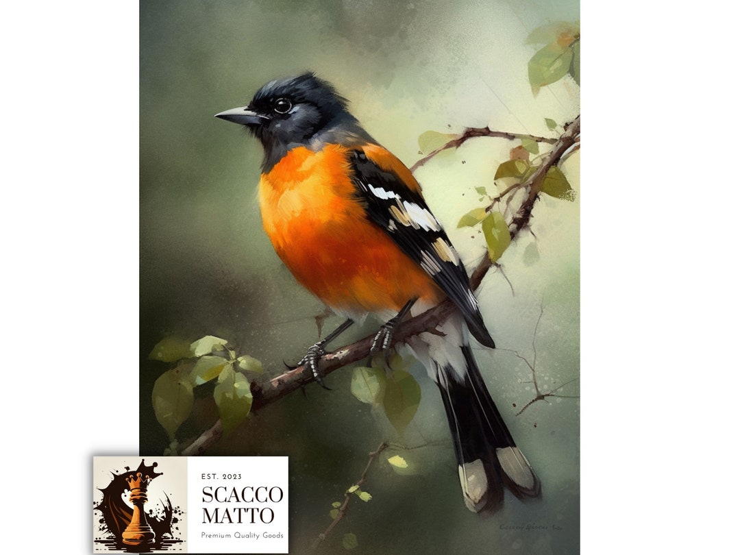 Oriole Watercolor Art Print: Bird Wall Art, Birder Gift - Etsy