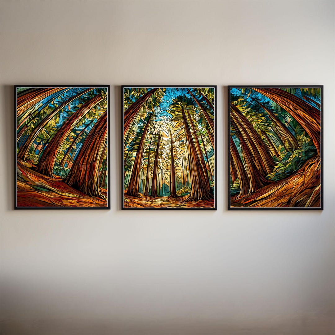 Redwood Trees Fisheye - Redwood National Park Triptych Giclée Print ...