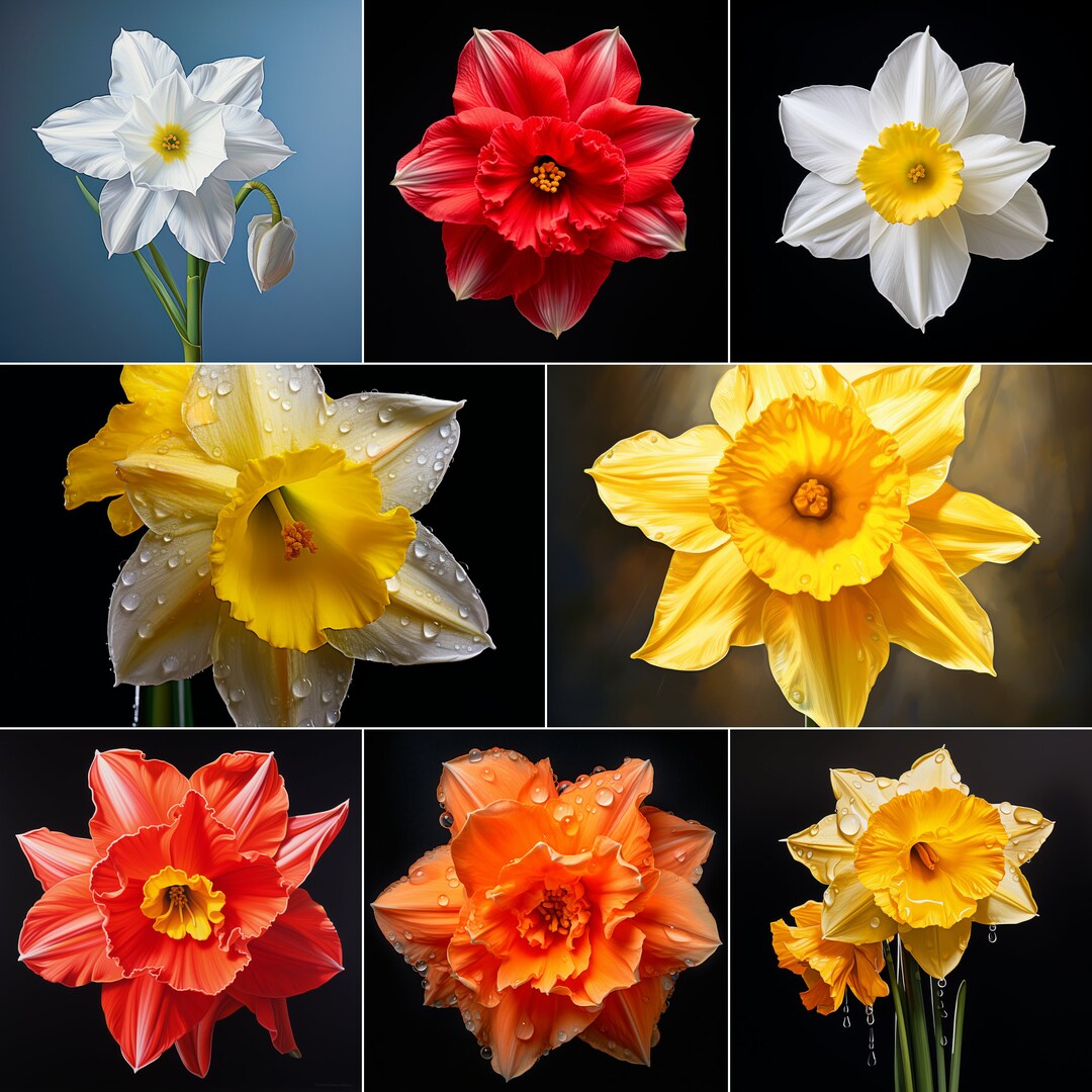 Personalize Digital Download Daffodil Decal Gift Vintage Flower Art ...