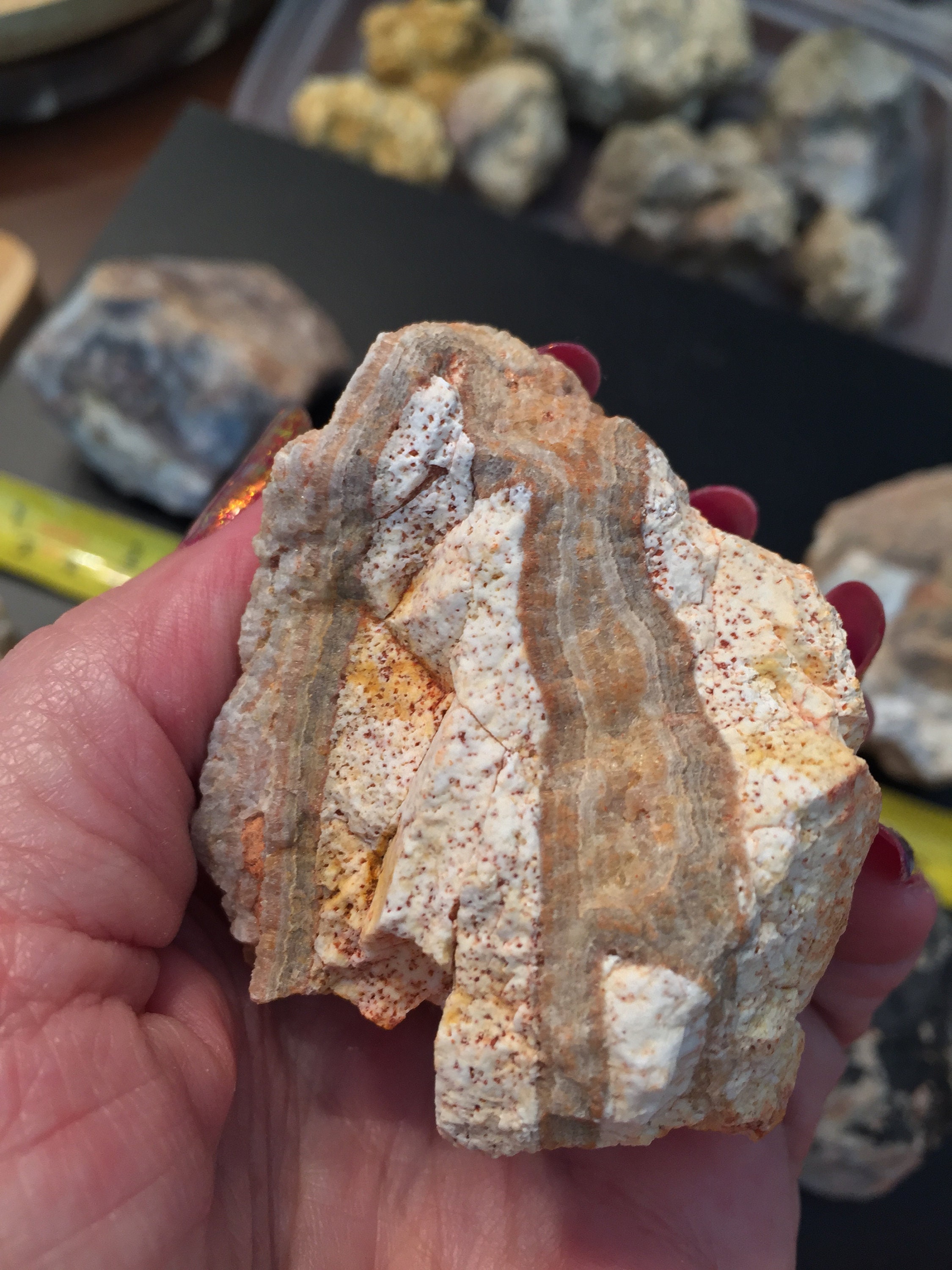 Five Pounds Bulk Rough Crazy Lace Banded Agates for Tumbling ...