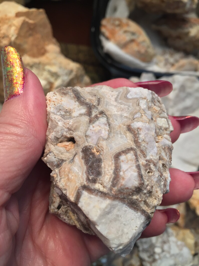 Five Pounds Bulk Rough Crazy Lace Banded Agates for Tumbling ...