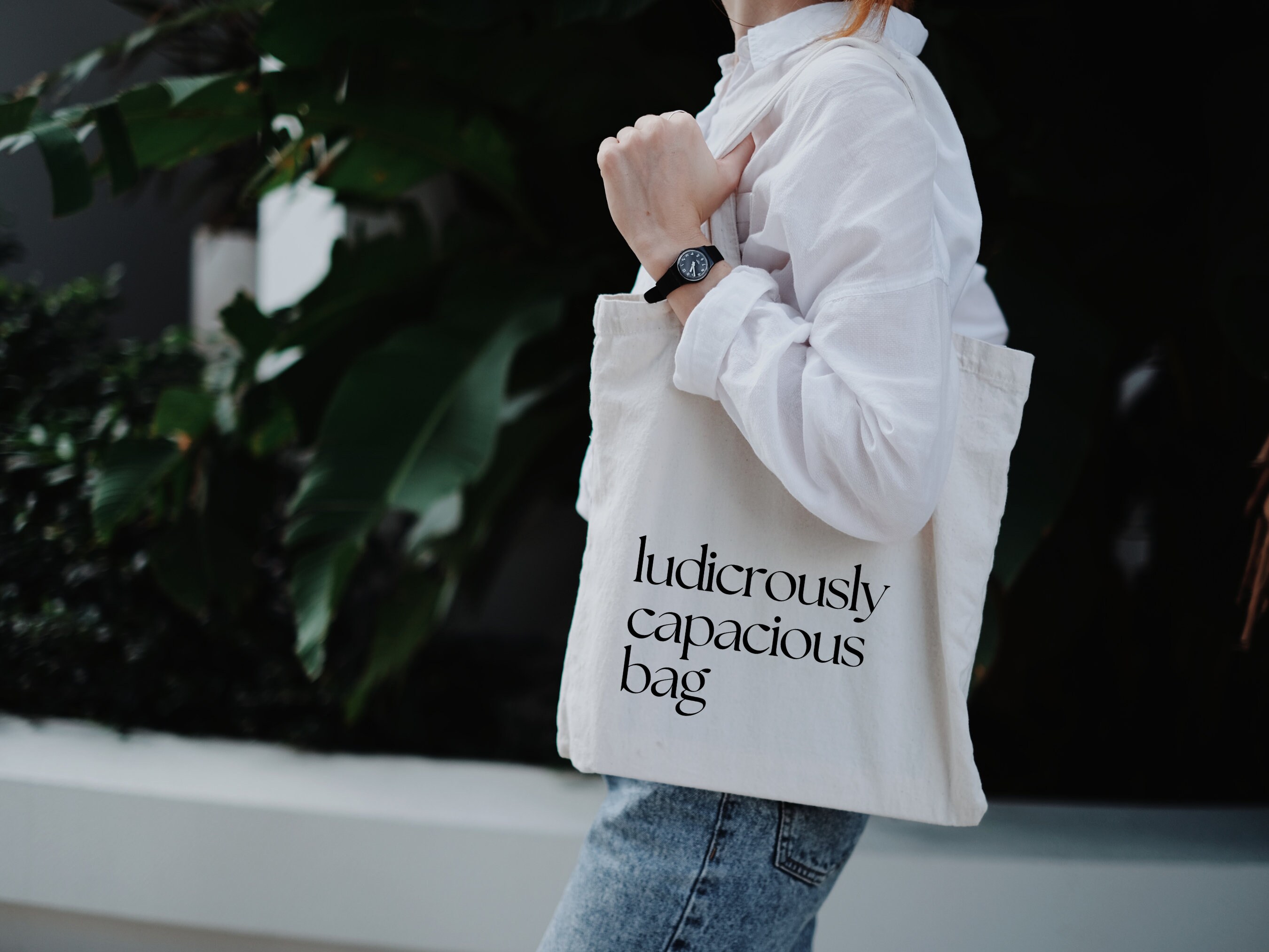 Ludicrously Capacious Bag - Cousin Greg and Tom Succession Bag Speech ...