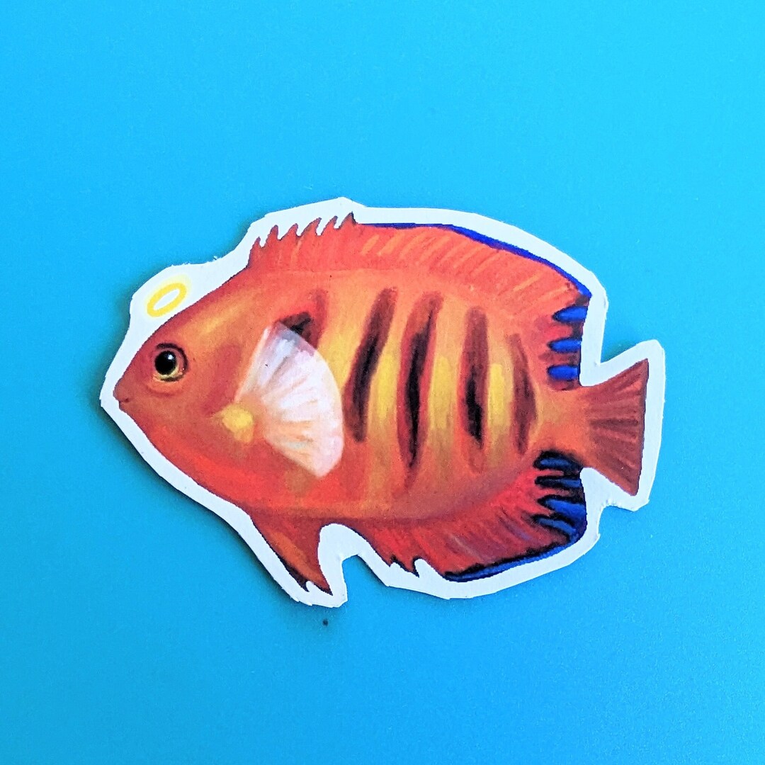 Flame Angelfish Vinyl Sticker - Etsy