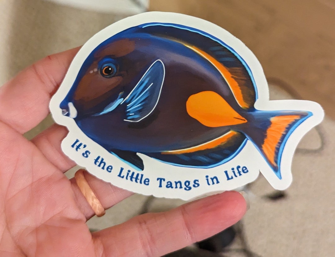 Achilles Tang Vinyl Sticker Little Tangs in Life - Etsy
