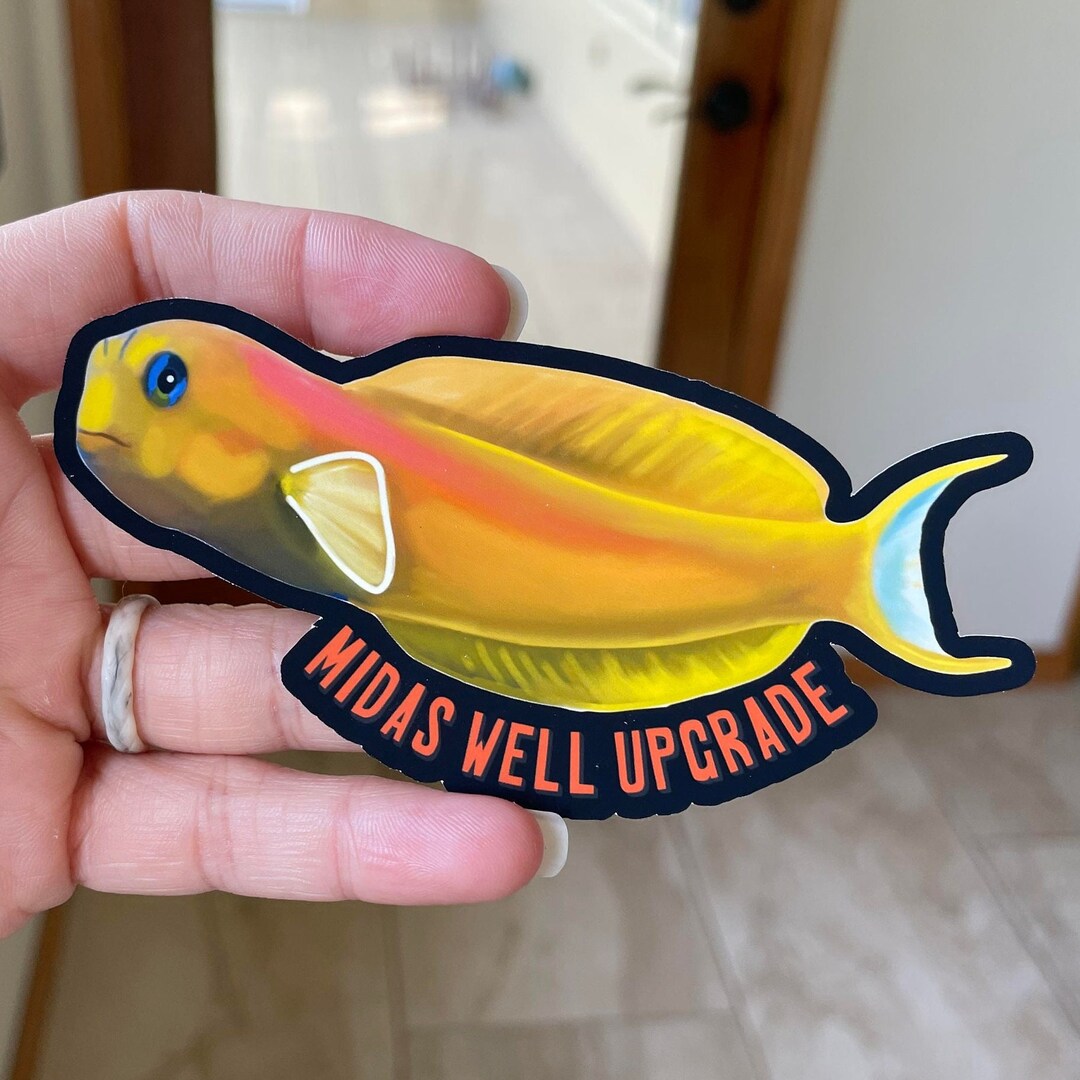 Midas Blenny Vinyl Sticker - Etsy