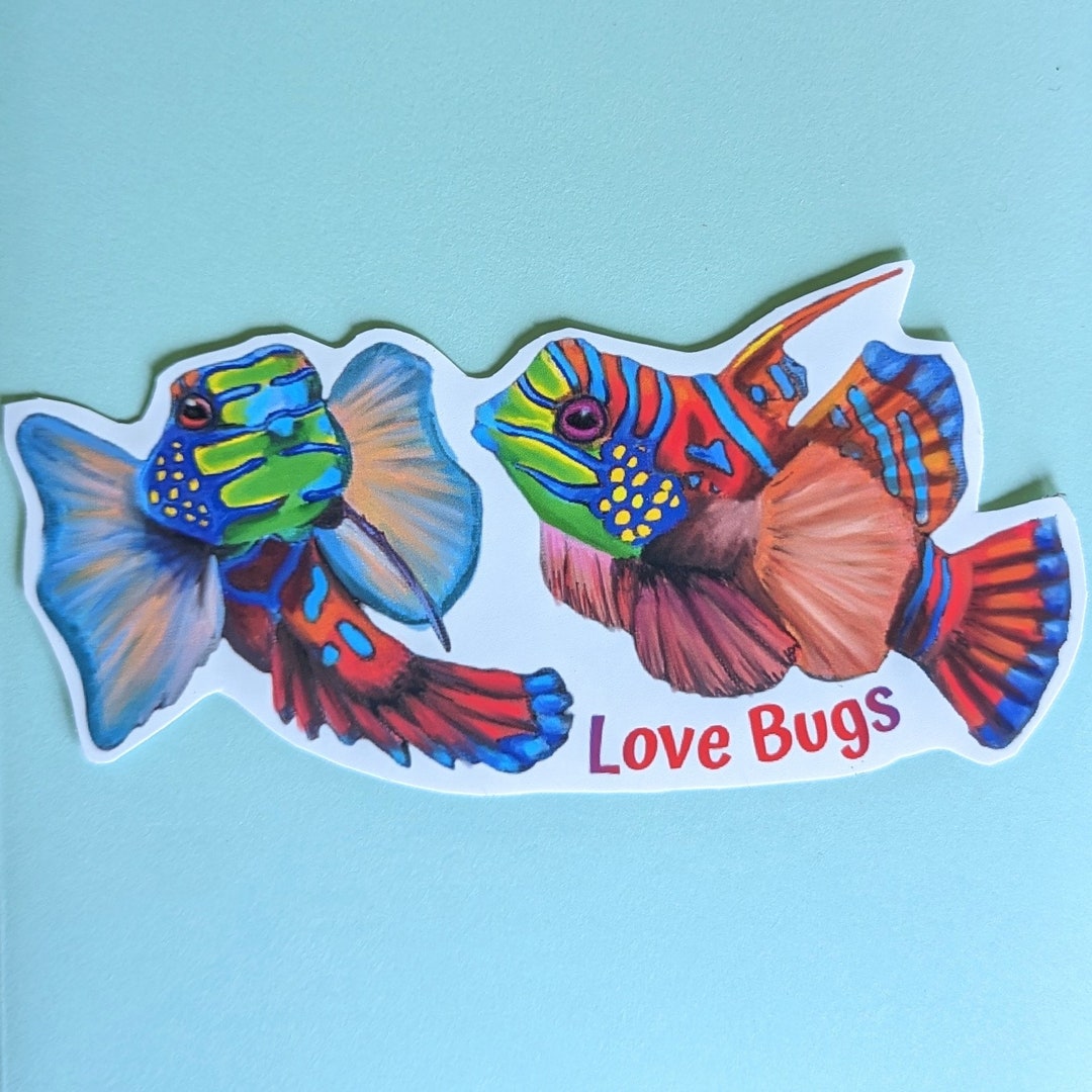 Mandarin Fish Love Bug Sticker - Etsy