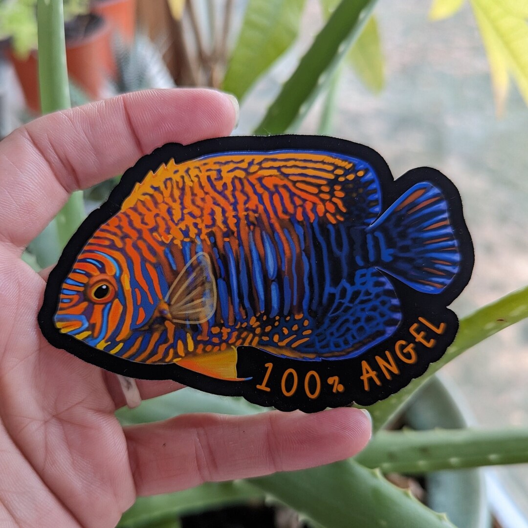 Customizable Potter's Angelfish Vinyl Sticker - Etsy